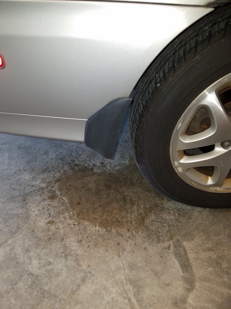 How to Fix a Sunroof Leak | Glass.com